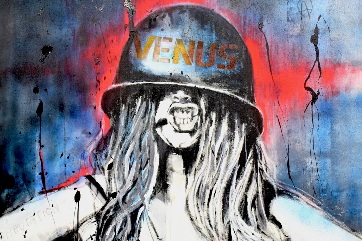 Projet Vénus 2017 : l’expo | Les billets de Miss Acacia